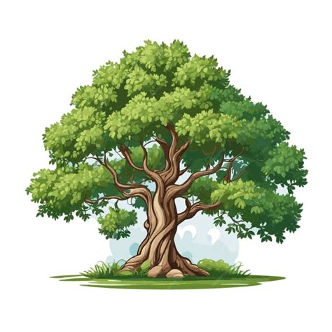 Premium Vector Tree Vector On A White Background Premium Vector Tree Vector On A White Background