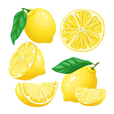 Lemon Yellow Fruit Set Cartoon Vector Illustration 17589984 Vector Art At Vecteezy