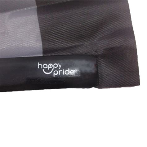 Large Fan Asexual Flag Happypride