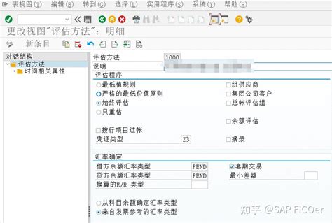 Sap S4hana Faglfcv外币评估配置（多个评估范围、多次运行评估） 知乎