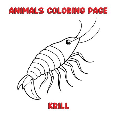 Krill Drawing Step By Step