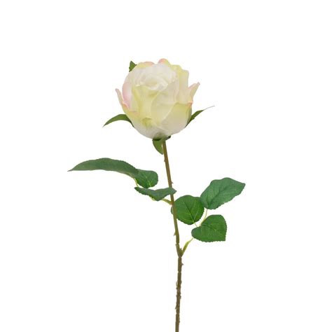 Single Rose Stem