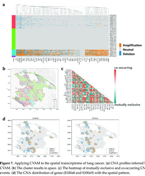 Applying Cvam To The Spatial Transcriptome Of Lung Cancer A Cna Download Scientific Diagram