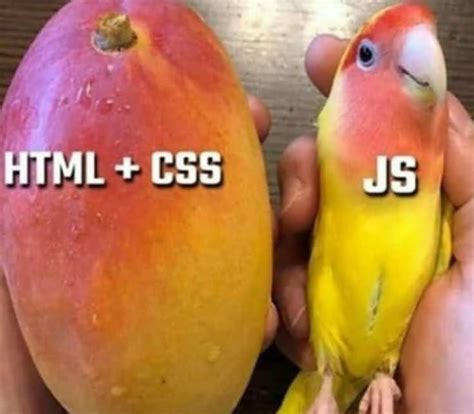 The Web Development Food Chain ·