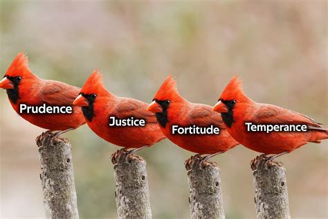 Im Assembling A Team Rcatholicmemes