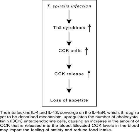 Current Opinion In Endocrinology Diabetes And Obesity