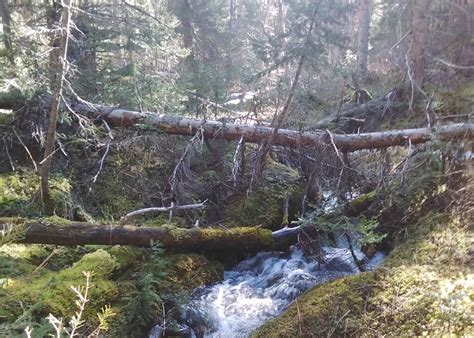 Riparian Classification Sbs Forestry Inc