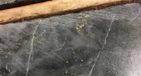 Olympios Shares Up 100 Amid Observing Visible Gold Au