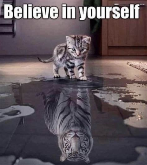 Alpha Alpha Chapter Of Delta Kappa Gamma Facebook