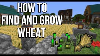 Minecraft Wheat Stages