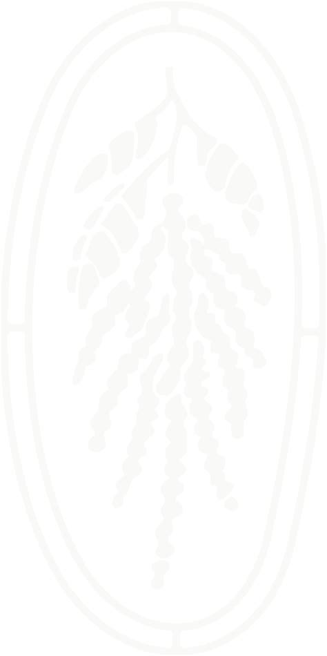 Ode Amara In Belmont Ca