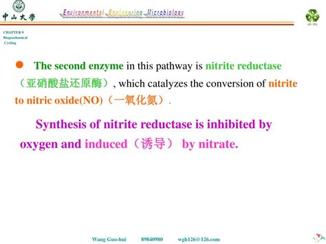 Ppt Chapter 9 Biogeochemical Cycling Powerpoint Presentation Free