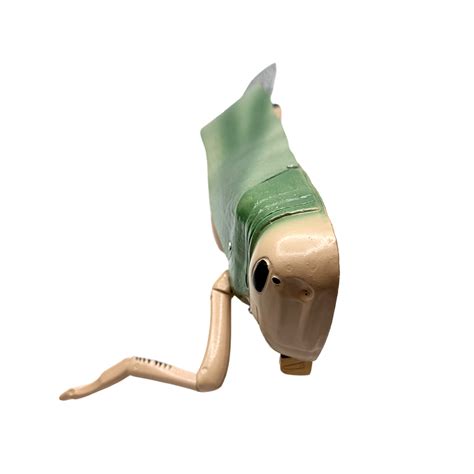 Science Educational Locust Anatomical Model Yuyao Xueyou Teaching