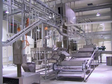 White Red Offal Synchronous Checking Conveyor Cattle Cow Abattoir