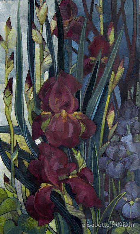 Elisabetta Trevisan Iris Painting Botanical Art Floral Art