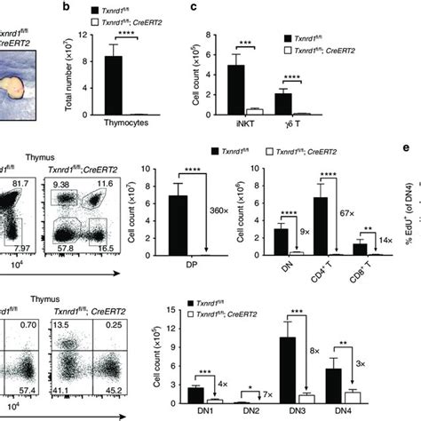 Txnrd1 Deficient T Cells Have A Proliferation Defect Independent Of Download Scientific Diagram