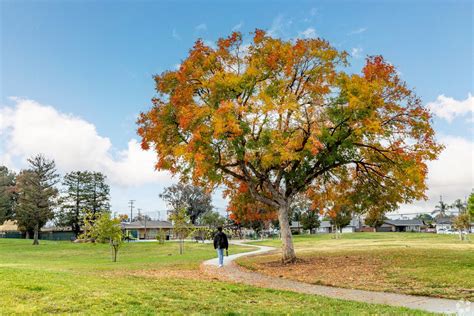 About Alum Rock Schools Demographics Things To Do