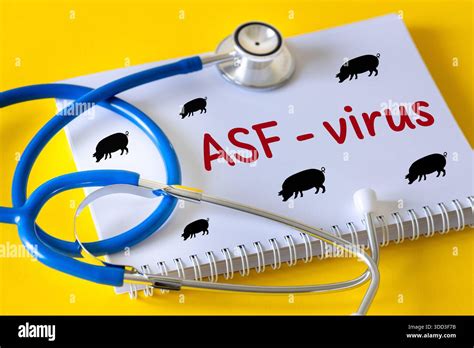 Asf Virus African Swine Fever A Highly Contagious And Fatal Viral