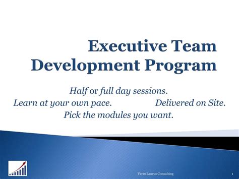 Ppt Executive Team Development Program Powerpoint Presentation Free