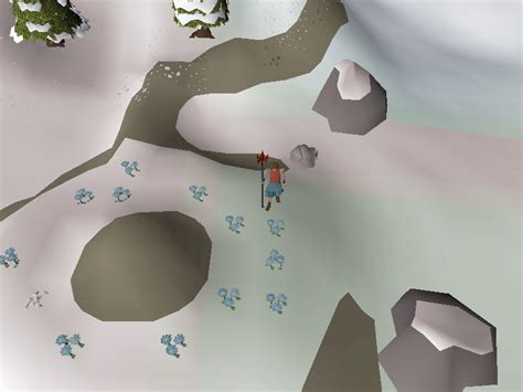 Fileemote Clue Panic Trollweisspng Osrs Wiki