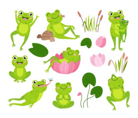 35 900 Frog Stock Illustrations Royalty Free Vector Graphics And Clip