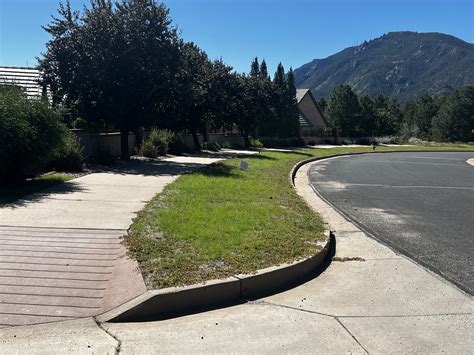 Seeding Project Progression Colorado Native Grass Guide