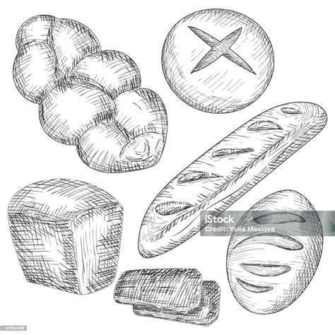 빵 바게트 덩어리 베이커리 제품 베이킹 음식 고립 된 그림 손으로 그린 만두 낙서 세트 연필 분필 드로잉 스케치의 컬렉션 낙서 드로잉에 대한 스톡 벡터 아트 및 기타 이미지