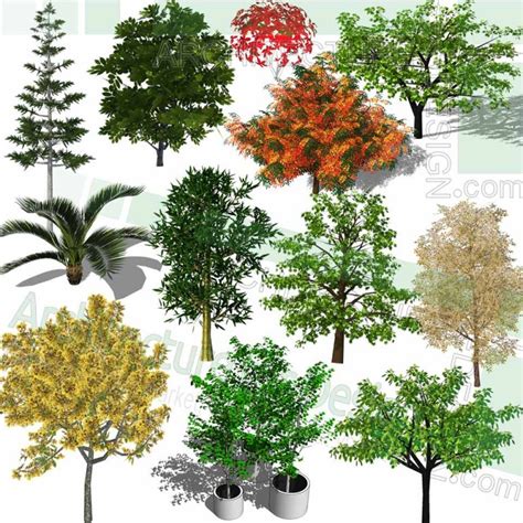 Trees Shrubs And Flowering Plants Sketchup Models Free Download