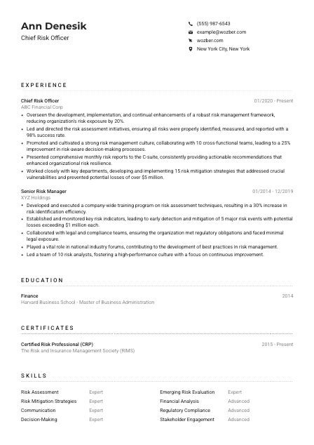 Chief Risk Officer Cv Example