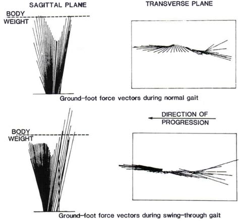 Typical Ground Reaction Force Vector Plots Of The Right Leg During Download Scientific Diagram