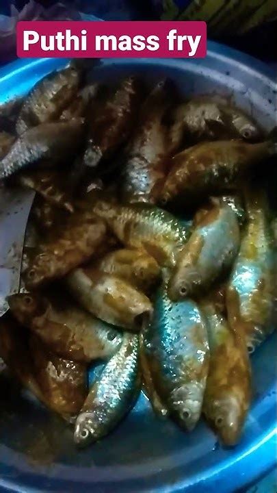 Masore Valepam Puthi Mass Shorts Shorts Trending Shorts Youtube