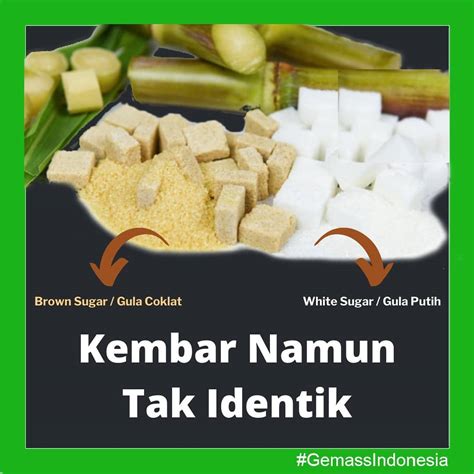 Si Kembar Tapi Tak Identik Tren Gemass Indonesia