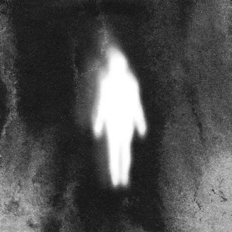 Rollor Society Lyrics Genius Lyrics