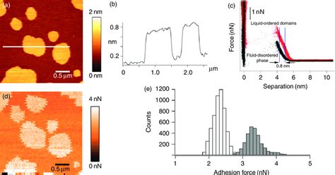 Afm Height Image A Corresponding Height Profile B Typical Force Download Scientific