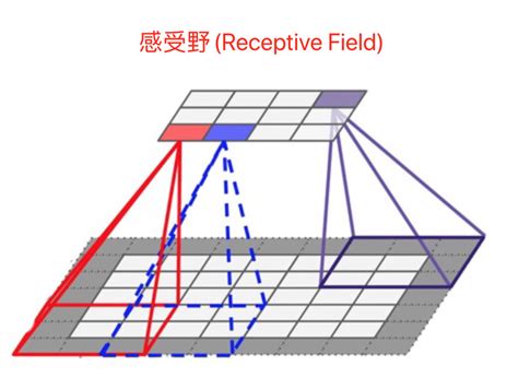 感受野receptive Field的理解与计算 知乎