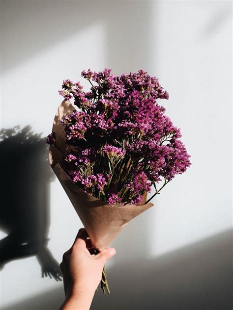 Dried Bunch Of Statice Miscellany Co Miscellany And Co