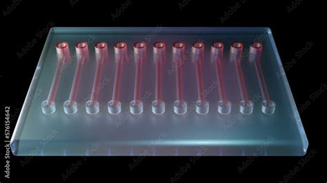Microfluidic Device Chip For Liquids Gases And Nanoparticles Network