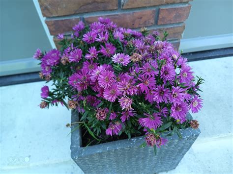 Doogee Dk10 Review Thin And Light Amoled 5g Phone In A Rugged Package