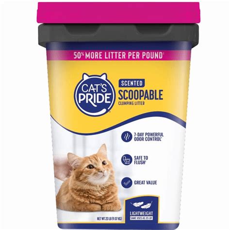 Cats Pride Scented Scoopable Lightweight Cat Litter 20lb Pail