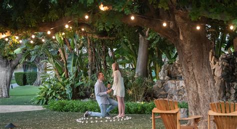 Sally Mcclain And Jacob Goulds Wedding Website