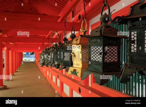 Traditional Bronze Lanterns Decorating The Kasuga Taisha Shrine Nara