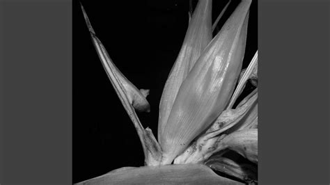 Sex On Drugs Youtube