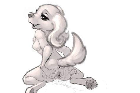 Rule 34 32 Aggressive Retsuko Aggretsuko Animal Genitalia Animal