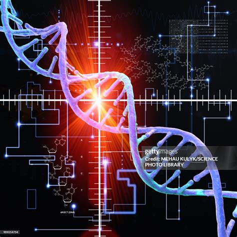 Dna Strand Illustration High Res Vector Graphic Getty Images
