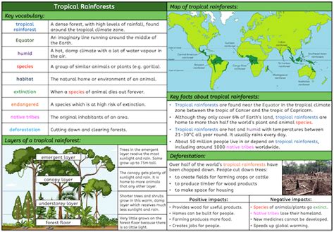 Tropical Rainforests Ks2 Planning Overview And Knowledge Organiser
