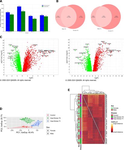 Whole Genome Transcriptomic Profiling Reveals Distinct Sex Specific