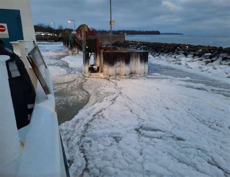 Frede Der Kan Ses I Tv 2 Dokumentaren Fræk Fyr Til Frede Onsdag