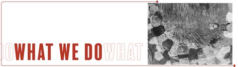 What We Do — Menar