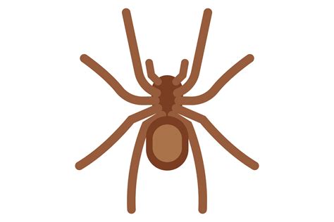 Spider Flat Insect Icon Arachnid Color Graphic By Microvectorone