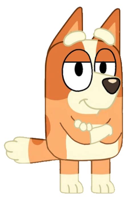 Confident Bingo Heeler By Angelcmuniz692 On Deviantart